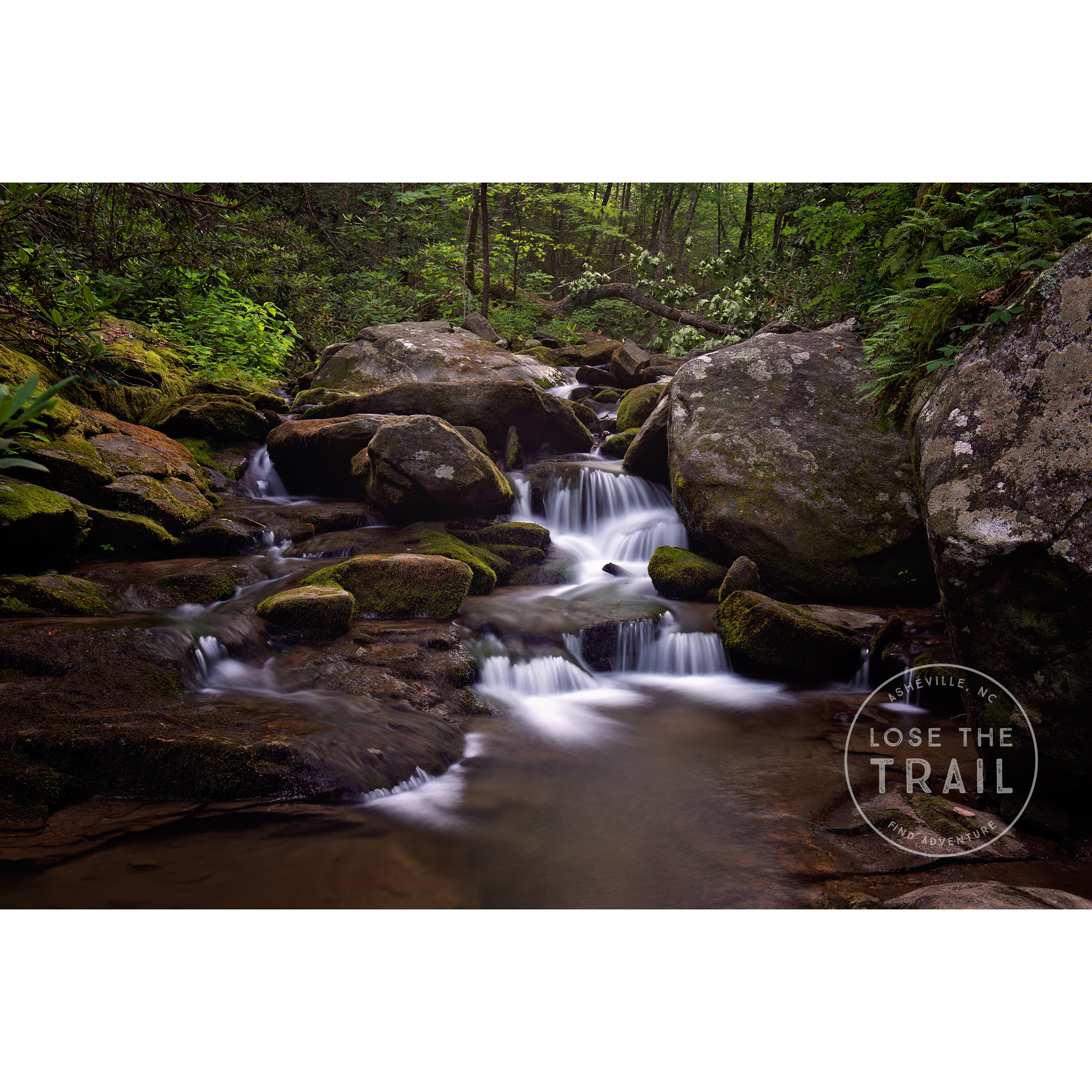 Forest Stream – Lose the Trail